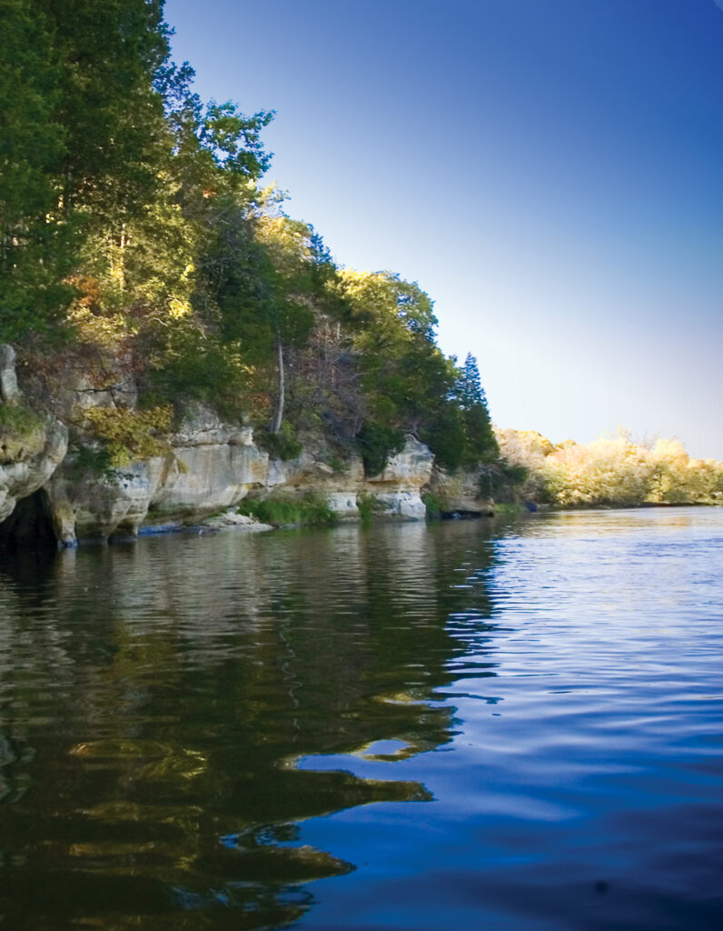 The Nature Of Our Changed World: How COVID-19 Has Impacted Nature in ...